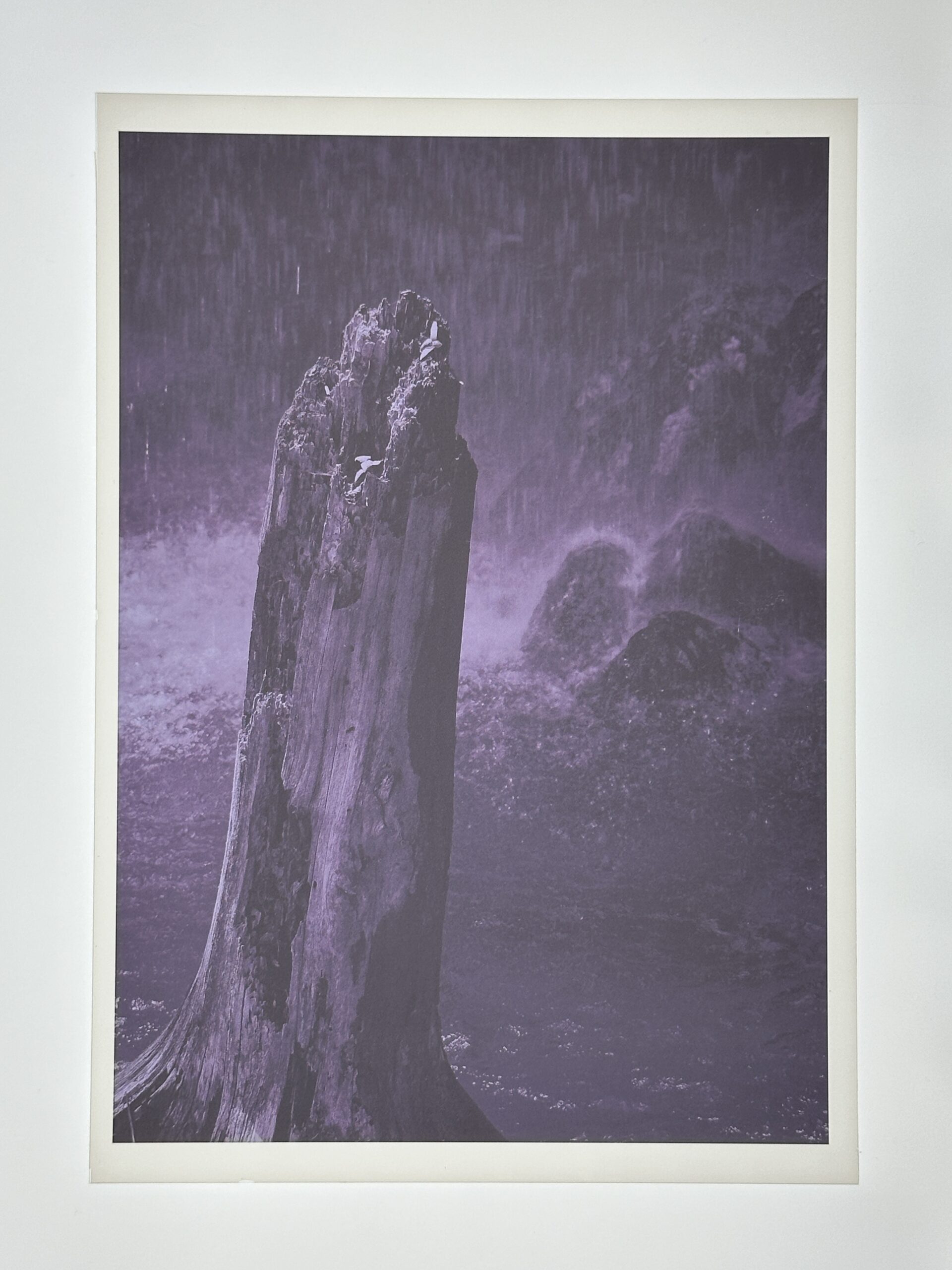 The Polymer Photogravure Process – Stedman Print Gallery